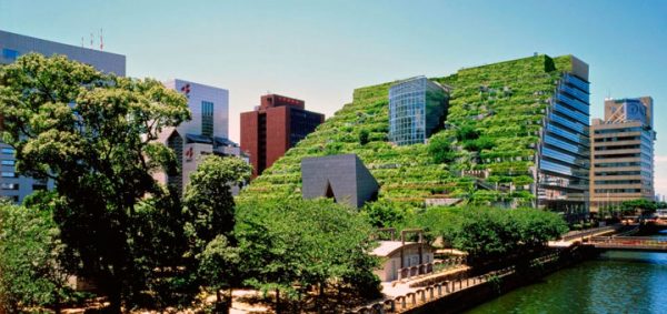 Acros Fukuoka, un edificio-montaña cubierto de vegetación - Ecomundo
