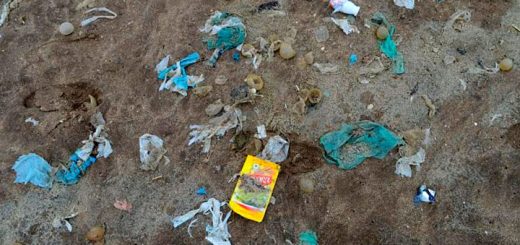 Contaminación por plásticos en playas bonaerenses - Ecomundo