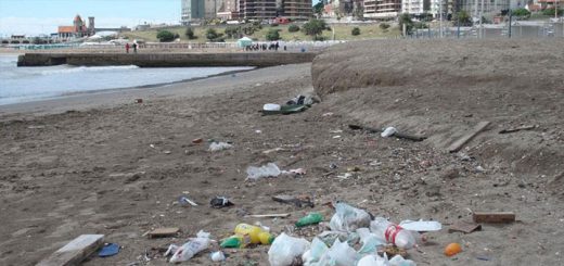Más del 80% de los residuos encontrados en las playas bonaerenses son plásticos - Ecomundo